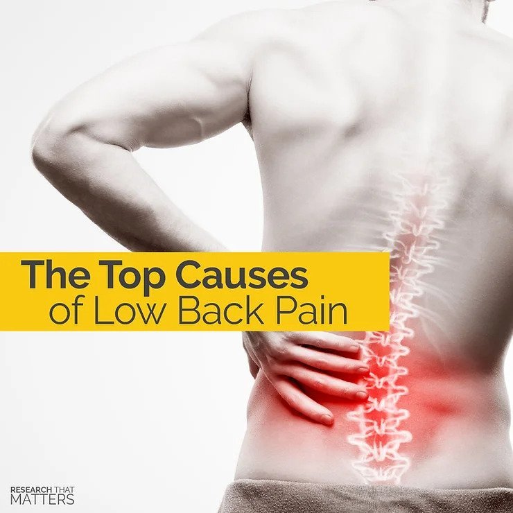 The Top Causes of Low Back Pain | Bristol Chiropractic